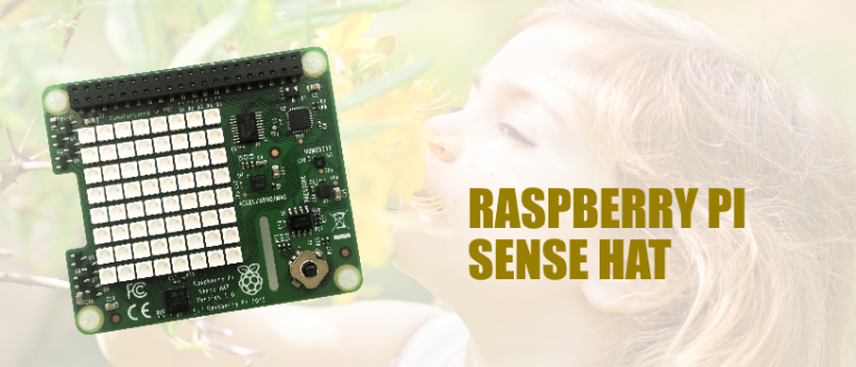Plugin Raspberry Pi Sense HAT - Max2Play